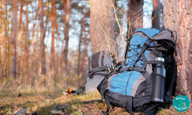 Tips for Backpacking With Kids - Active Little Feet